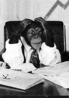 Tips to create a Professional Video Conferencing System - Marketing ...